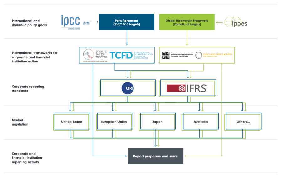 Five things investors should know about TNFD