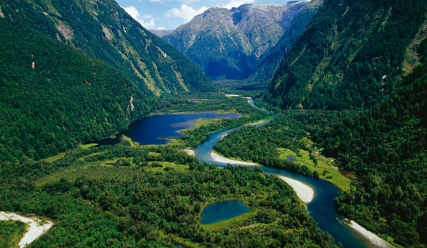 Introducing Our Nature Roadmap