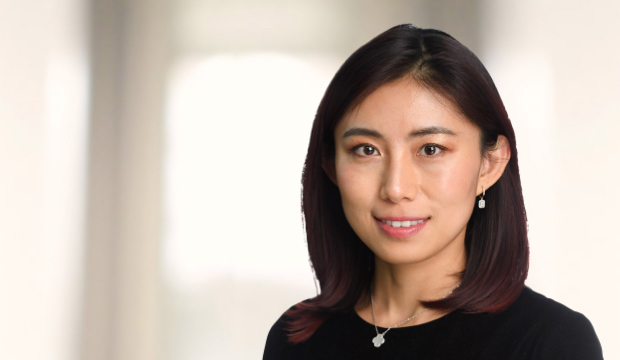 Long-Term Asset Funds (LTAFs)