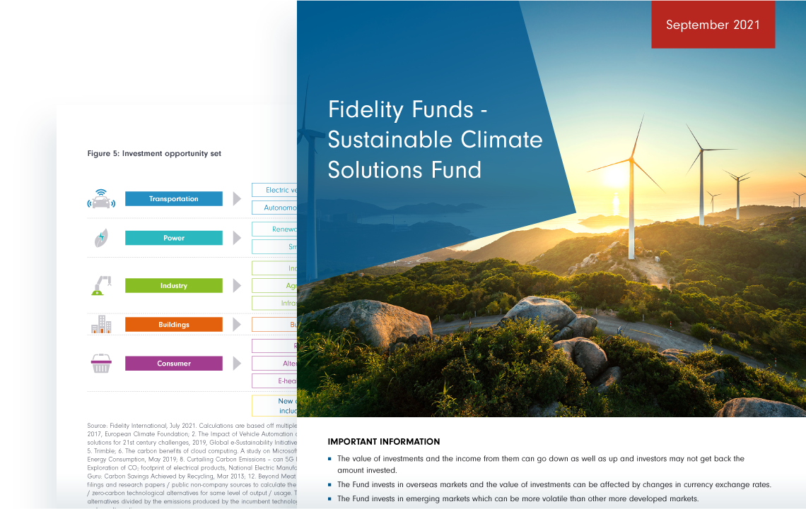 The Fund at a glance